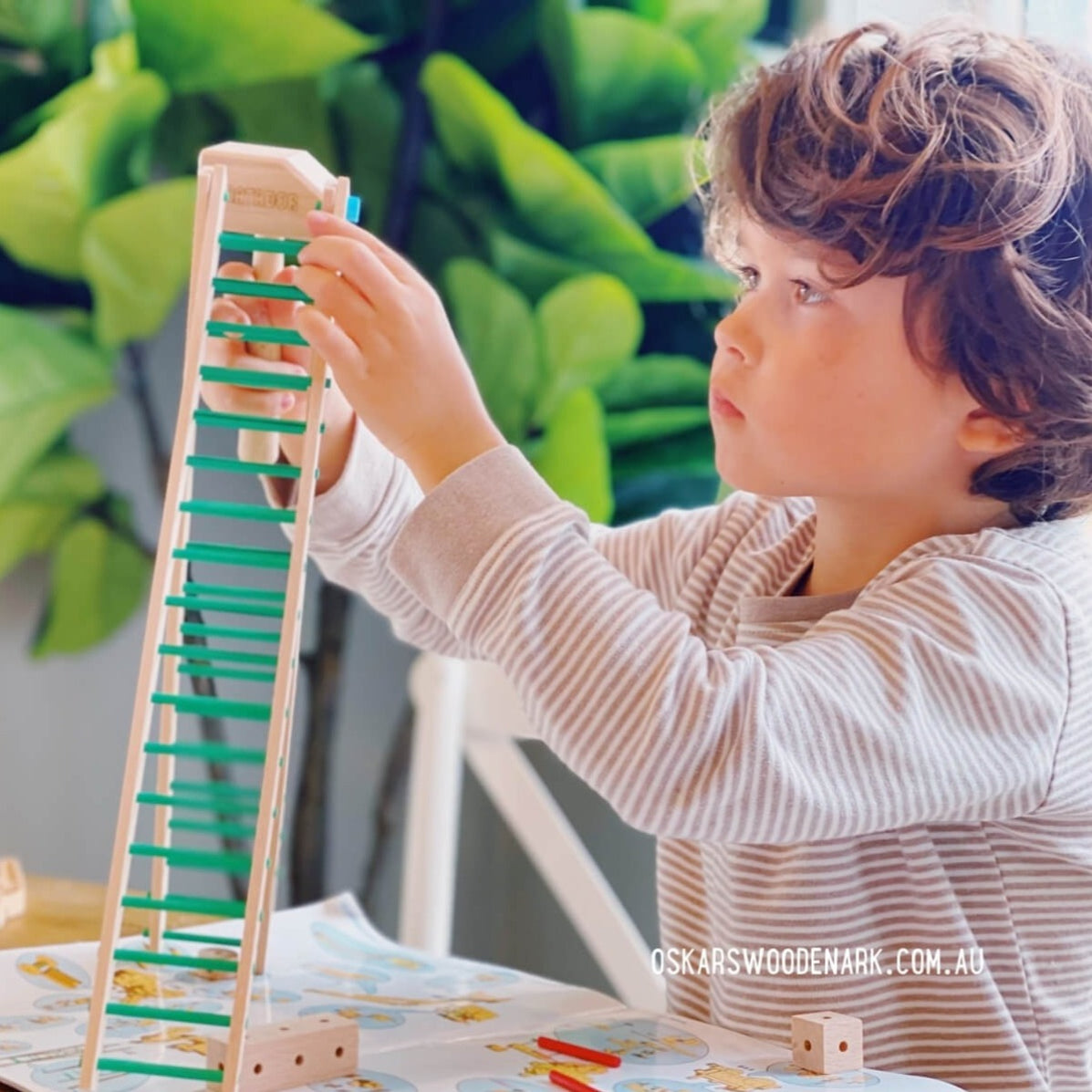 Matador Explorer 5+ E407 - Wooden Construction Toy Set, Australia ...