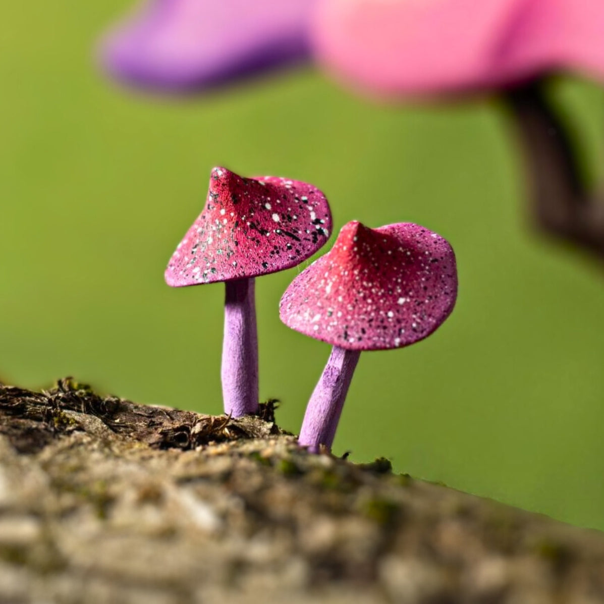 Bumbu Toys Wooden Magic Mushrooms - Australia — Oskar's Wooden Ark