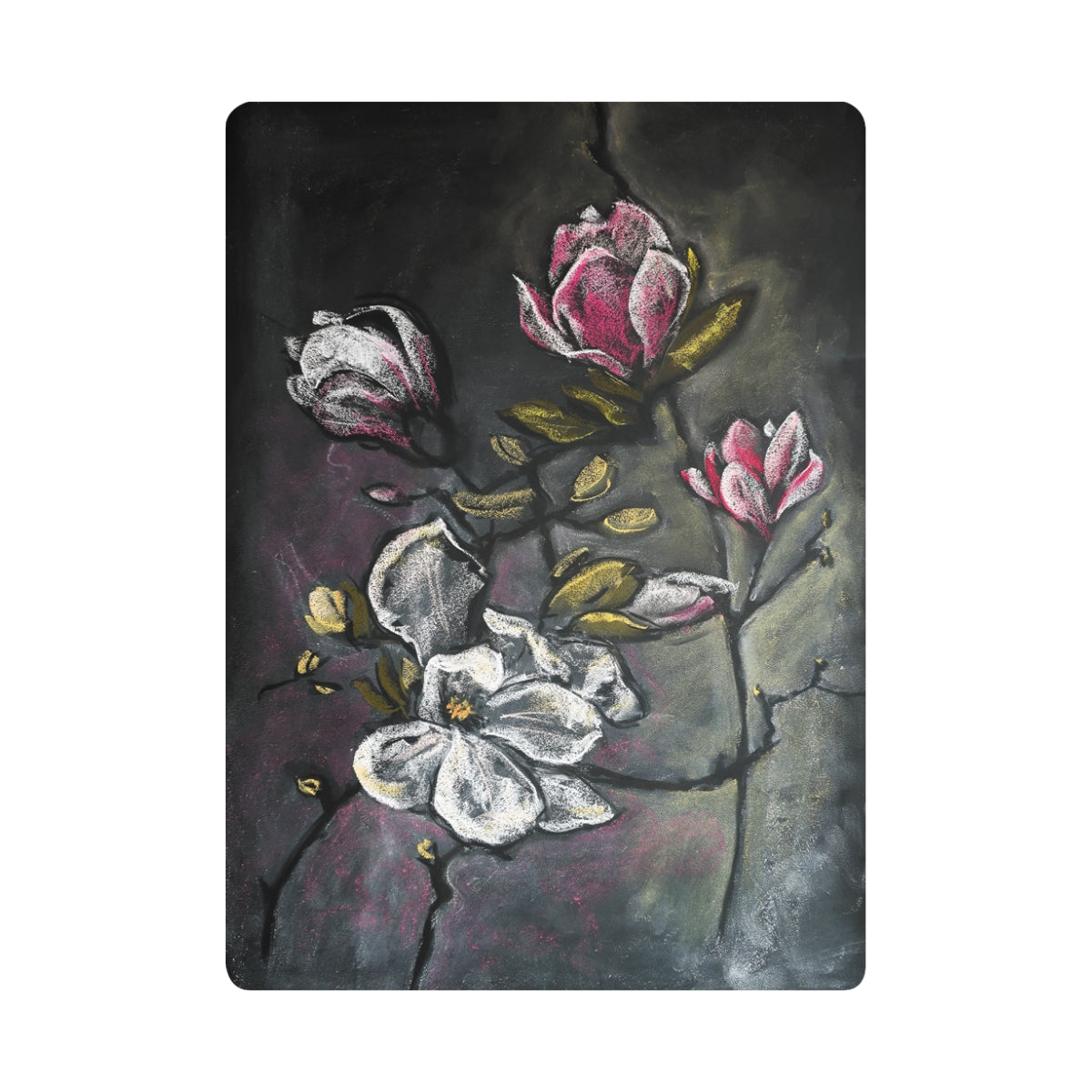 Chalkboard Art Poster - Magnolia from Oskar's Wooden Ark Australia