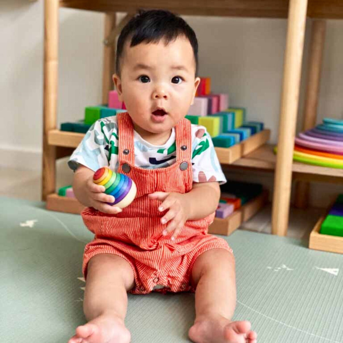 Mader Roly Poly Rainbow Pear from Oskar's Wooden Ark