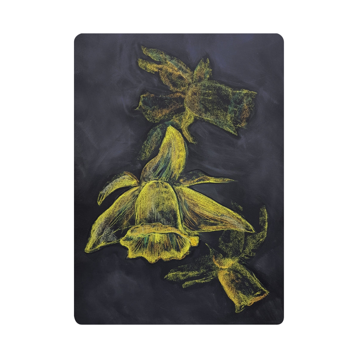 Chalkboard Art Cards - Daffodil, pack of 5 cards — Oskar's Wooden Ark