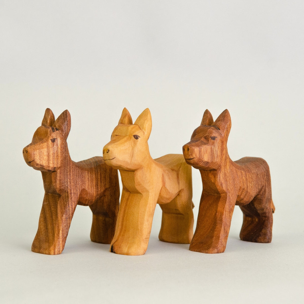 Predan Calf - Oskar's Wooden Ark, Australia